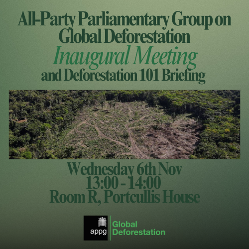 New APPG promises to “raise the voices of those most impacted by ...